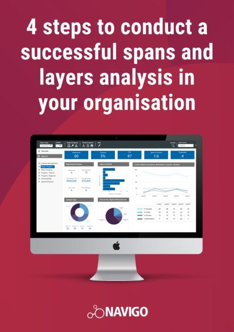 Spans and Layers: 4 steps to conduct a successful analysis in your organisation | Navigo blog